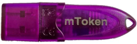 Digi Solutions – Your Digital Signature Authority